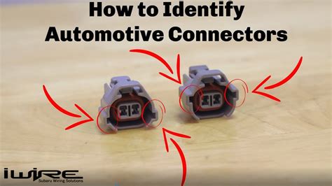 How To Identify By Picture At Lauren Murphy Blog