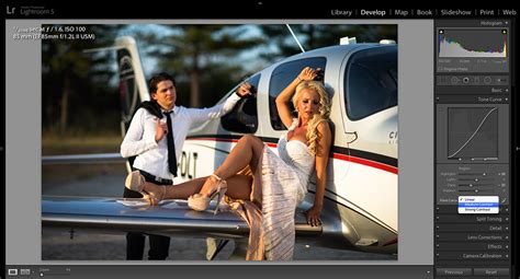 Tip Creativity With Curves Fundy Designer