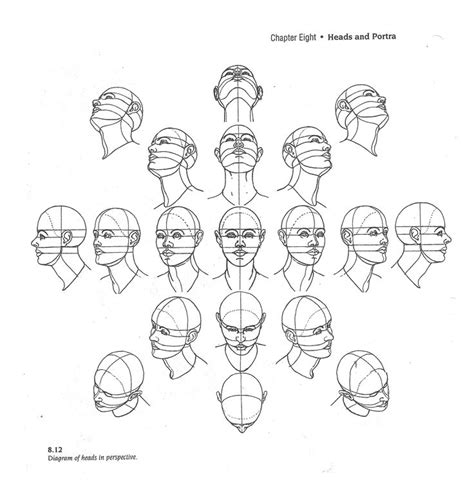 Face Perspectives Desenhando Cabeças Desenho Produção De Arte