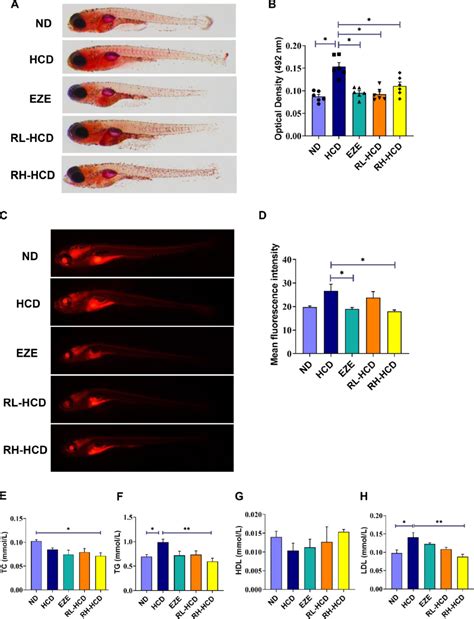 转录组 代谢组强强联合出高分 转录代谢联合分析 Csdn博客