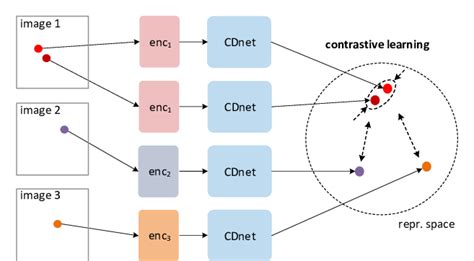 Contrastive Learning For Cross Domain Network Enci And Cdnet Are A Download Scientific Diagram