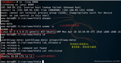 靶机渗透测试实战（三）——dc 3 python渗透80端口 csdn博客