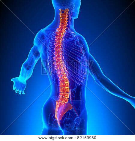 How A Strong Spine Helps Your Sexual Performance Online Prescription