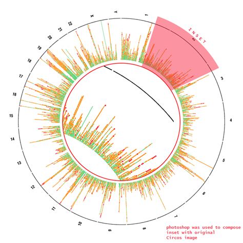 Circos Tutorials 2d Data Tracks Glyphs Circos Circular Genome Data Visualization