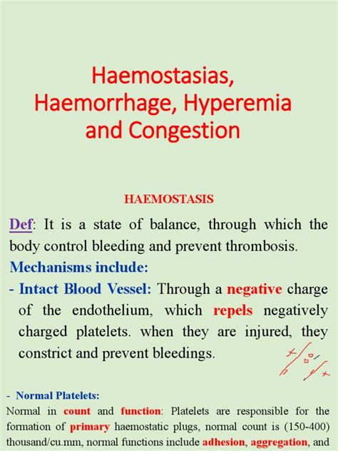 Hyperemia Vs Congestion Explained Pdf Coagulation Thrombus