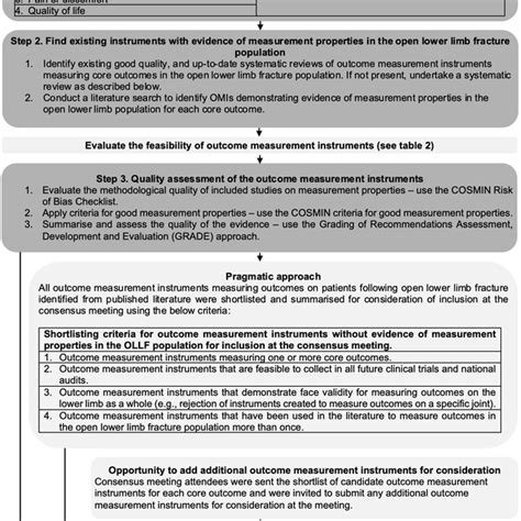 Schematic Flow Diagram Summarizing The Approach Used For The Selection
