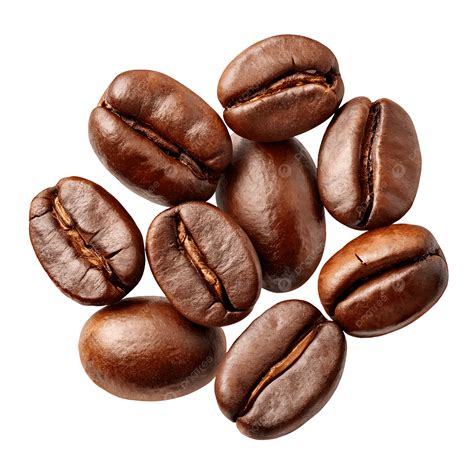 Einzelne Kaffeebohne Clipart Kaffeebohnen Essen Koffeingehalt