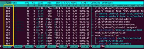 The Htop Command In Linux 7 Practical Examples LinuxSimply