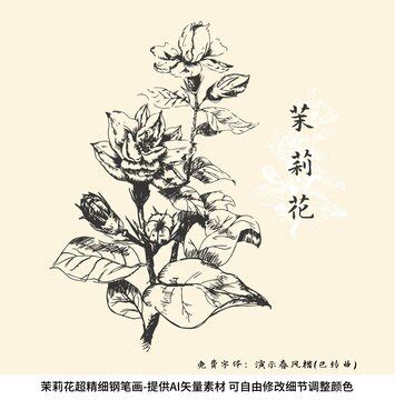 矢量茉莉图片素材 矢量茉莉设计素材 矢量茉莉摄影作品 矢量茉莉源文件下载 矢量茉莉图片素材下载 矢量茉莉背景素材 矢量茉莉模板下载 搜索中心