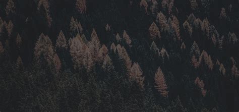 Fair Consideration Framework Impacts On Singapore Ep Applications