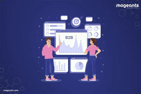 Magento 2 B2b Extensions You Should Know About