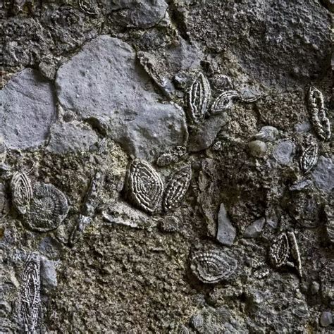 Teaching Stable Isotope Geochemistry In The Earth Sciences