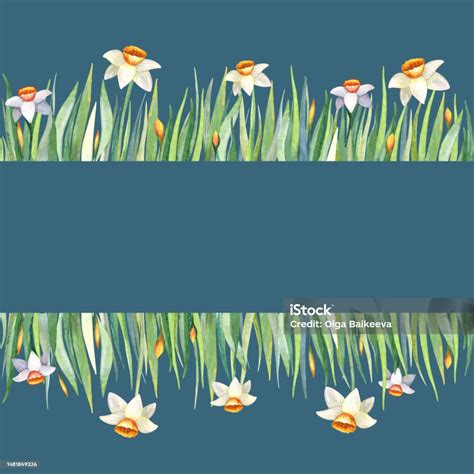 푸른 잔디와 흰색 꽃이 있는 수채화 직사각형 프레임 존퀼 수선화 수선화 화환은 초대장 카드 및 기타 프로젝트에 적합합니다 포에티쿠스에 대한 스톡 벡터 아트 및 기타 이미지