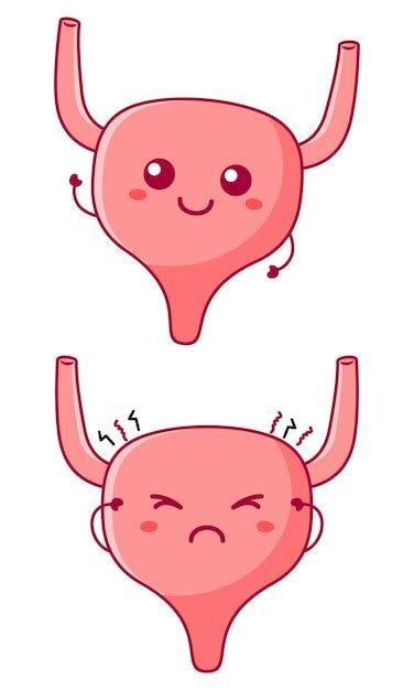 Premium Vector Cute Sad And Smiling Happy Bladder Organ Human Modern Cartoon Character