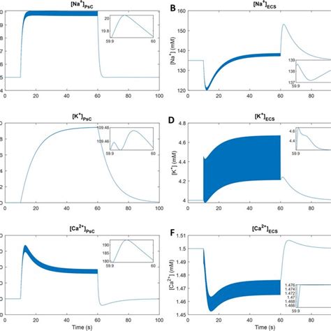 Astrocytic And Extracellular Ionic Concentrations The Inset Shows The Download Scientific