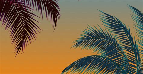 야자수 푸른 노란색 하늘 야자수 잎 배경 하늘 벡터 일러스트 레이 션입니다 벡터 Unsplash의 여행하다 이미지