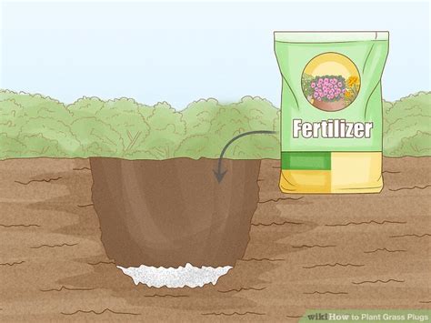 How To Plant Grass Plugs Steps With Pictures WikiHow