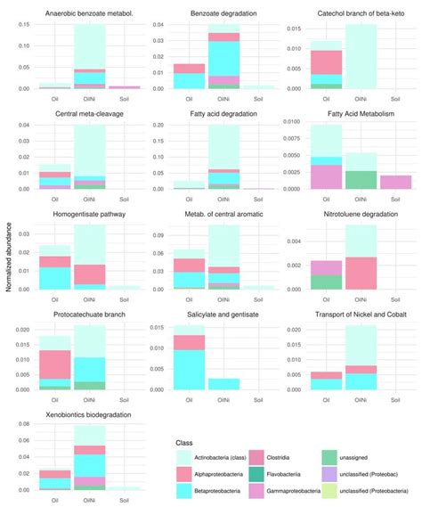 Taxonomic Classification Of Metagenomic Sequences Involved In The