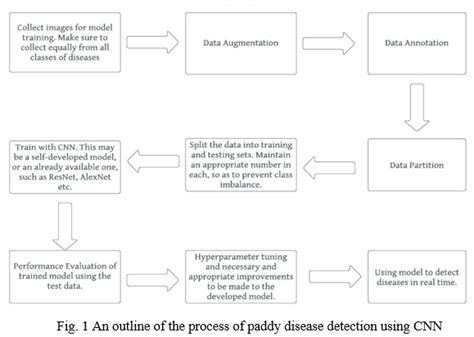 Detecting Diseases In Paddy Using Machine Learning