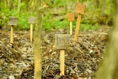 Bridging Science And Technology The Future Of Forensic Identification