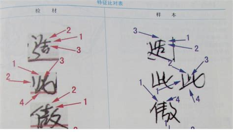 保定笔迹鉴定服务