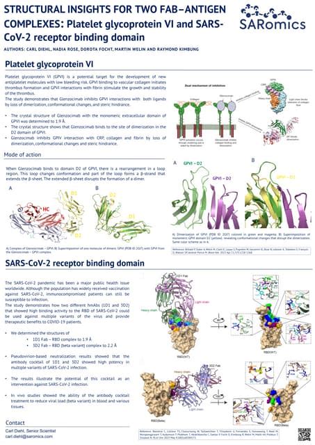 Structural Insights For Two Fab Antigen Complexes Platelet Glycoprotein Vi And Sars Cov 2