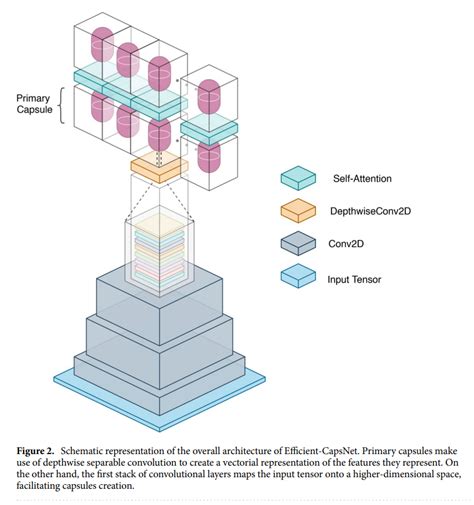 capsule networks addressing limitations of convolutional neural networks cnns marktechpost
