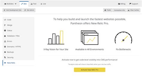 Activate New Relic New Relic Performance Monitoring On Pantheon