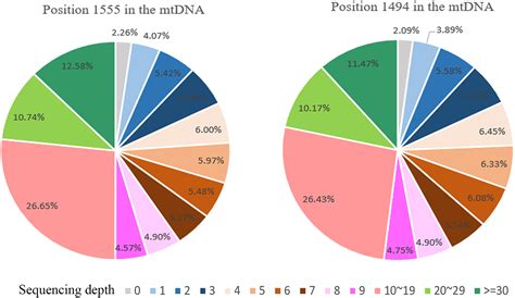 Detecting Mitochondrial Mutations Associated With Aminoglycoside Ototoxicity By Noninvasive