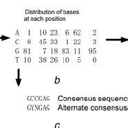 Illustration Of The Input And Output Of Boolean Methods A State Download Scientific Diagram