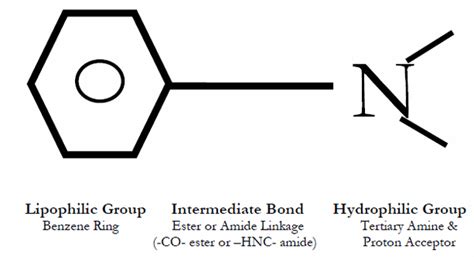 Local Anesthetics Mnemonic Epomedicine