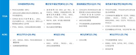 胃来可期丨多组学在胃癌精准诊疗中的研究进展 分子 ctDNA 分型
