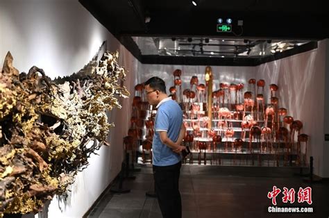 古今交融 杭州清河坊历史文化街区传承千年宋韵 国内频道 内蒙古新闻网