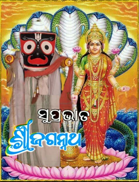 smitarani mohanty posted on linkedin