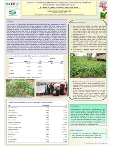 Analysis Of Determinants Of Productivity And Technical Efficiency Among Smallholder Common Bean