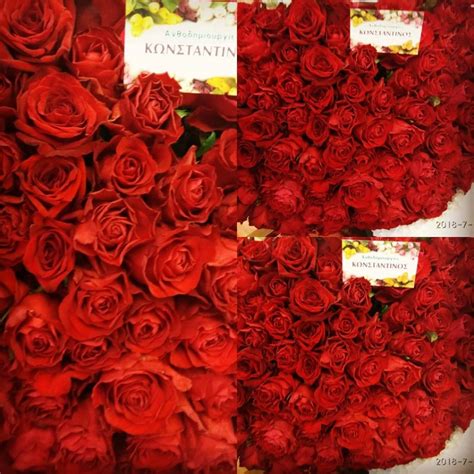 200 ΚΟΚΚΙΝΑ ΤΡΙΑΝΤΑΦΥΛΛΑ ΑΝΘΟΔΕΣΜΗ • Ανθοπωλείo Ανθοδημιουργίες Θεσσαλονίκη