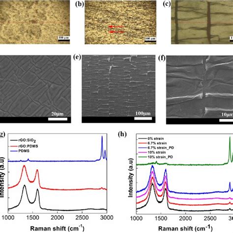A Optical Microscope Image Of Unstrained Rgo On Pdms Substrate Scale