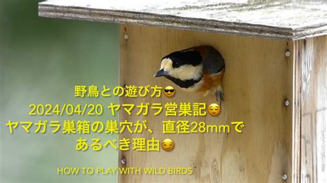 Mm How To Play With