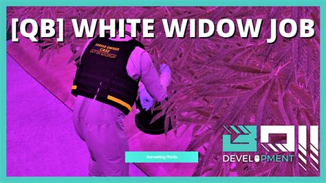 Qbcore White Widow Job Script V1 1 Fivem Roleplay Scripts Boii