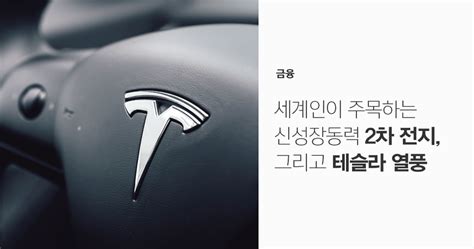 2차 전지 열풍에 힘입은 테슬라 전 세계 배터리 산업의 지각변동 일으킬까