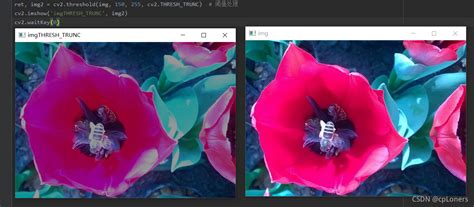 5opencv——图像变换3（阈值处理 二值化，反二值化，截断阈值处理，超阈值零，低阈值零处理，otsu算法，三角算法）opencv 二值