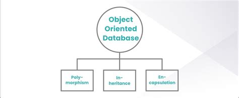 What Are The Various Types Of Databases
