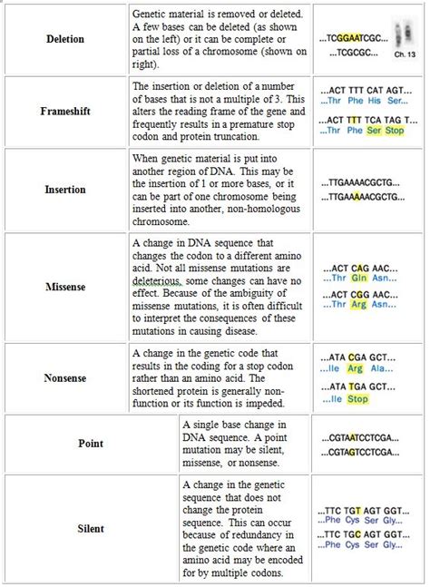 Mutations Evolution