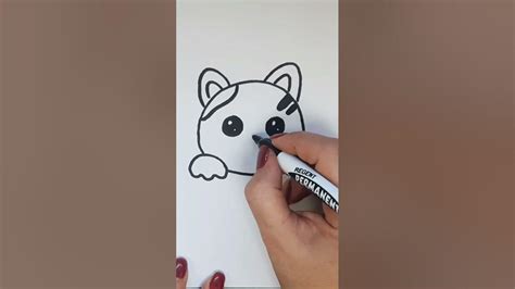 איך לצייר חתול חמוד ציורים קלים ציורים פשוטים ציורים למתחילים ציורי חיות איך לצייר ציורים