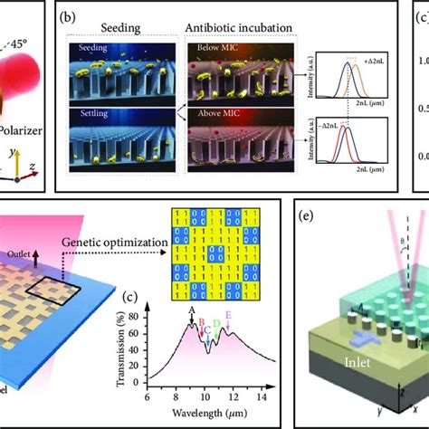 A Illustration Of Terahertz Polarization Detection And Analysis Download Scientific Diagram