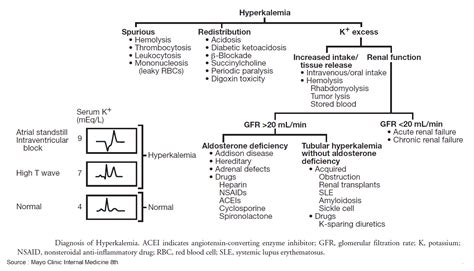 Disorders Of Potassium Homeostasis Hypokalemia And Hyperkalemia Manual Of Medicine