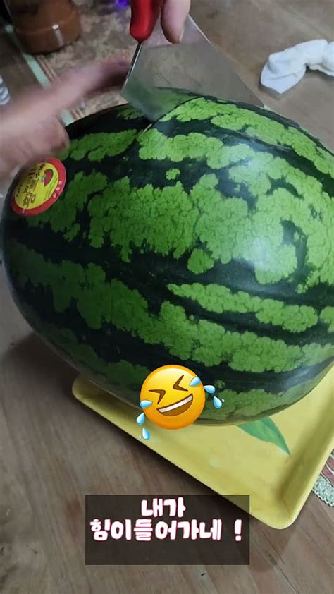 와따 요~거시기가 11키로라고 ️ Youtube