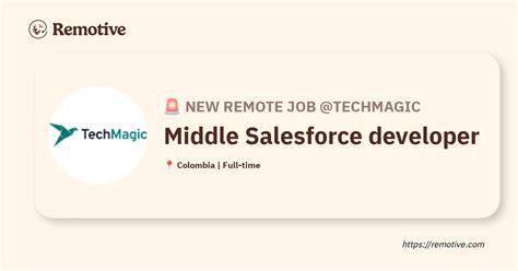 Hiring Middle Salesforce Developer Techmagic