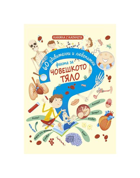 60 удивителни и любопитни факта за ЧОВЕШКОТО ТЯЛО Market Dir Bg