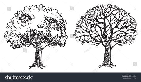 Bare Trees Two Vector Bare Trees Stock Vector Royalty Free Shutterstock
